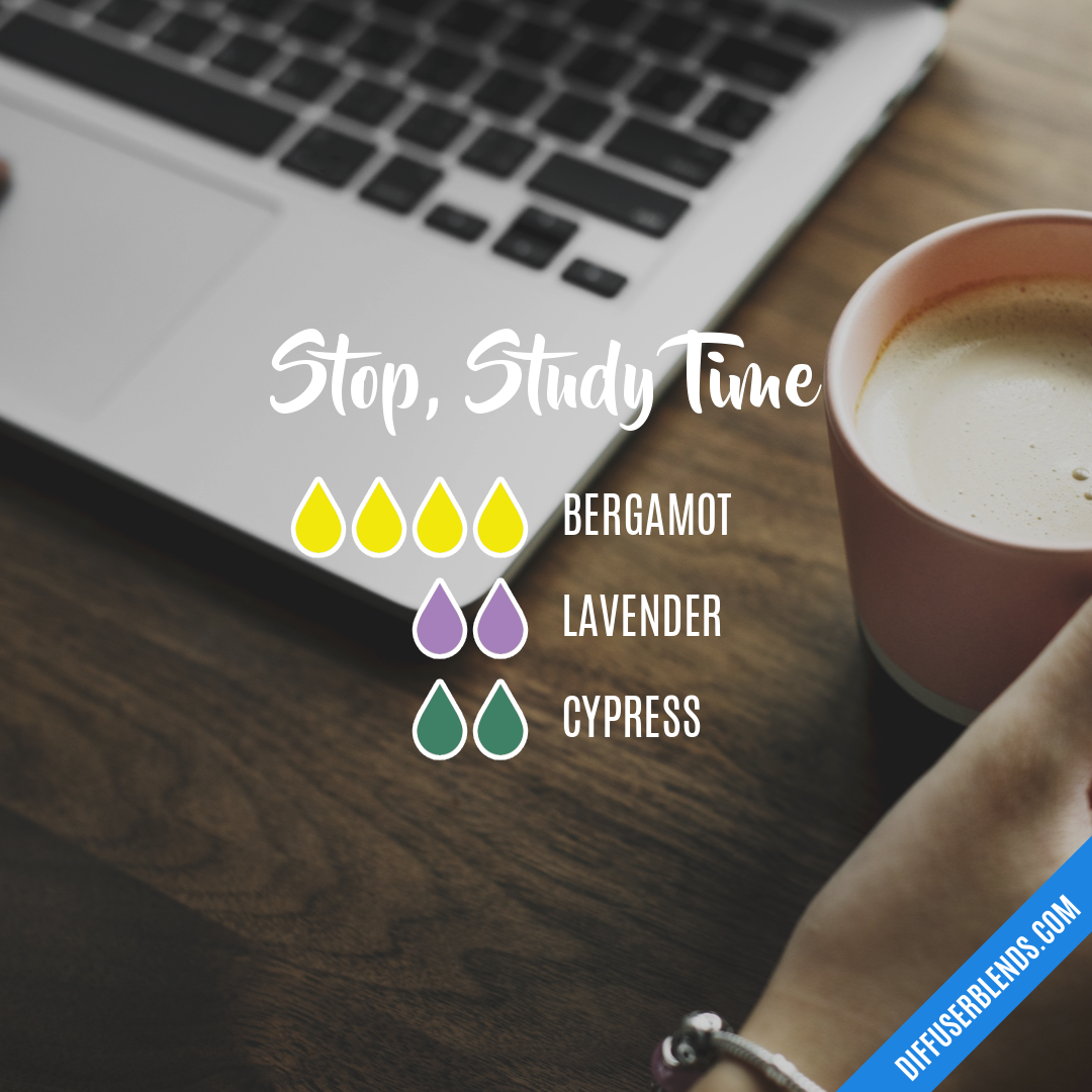 Stop, Study Time | DiffuserBlends.com