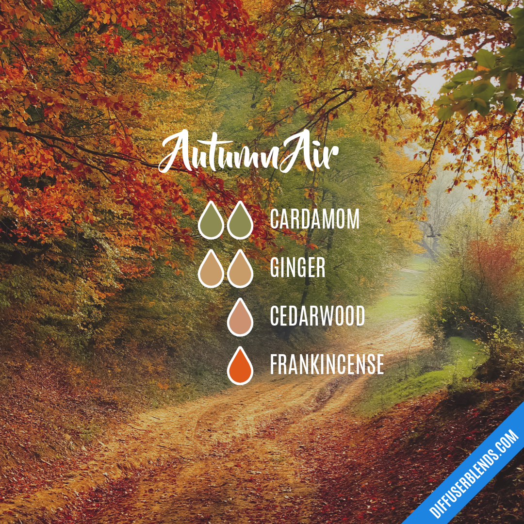 Autumn Air | DiffuserBlends.com