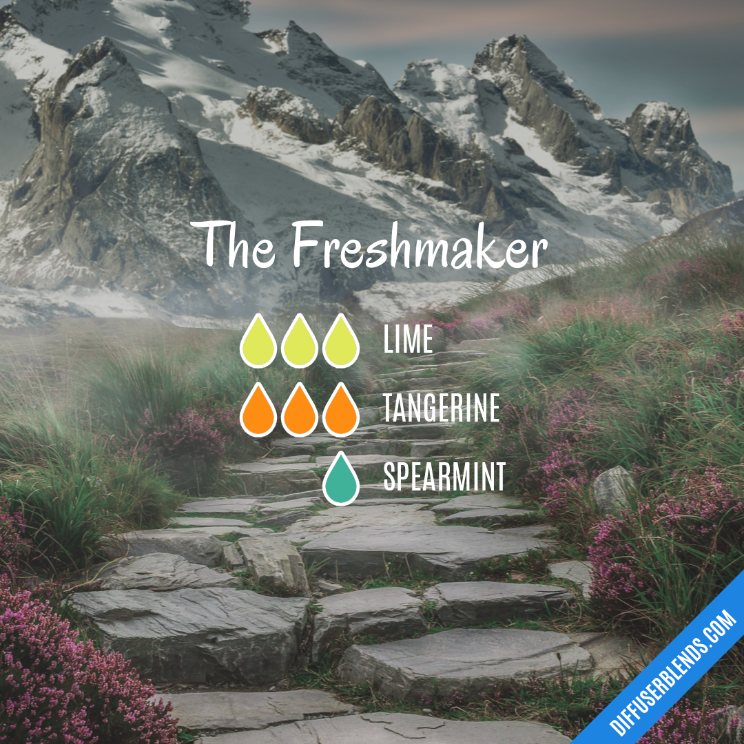 The Freshmaker | DiffuserBlends.com