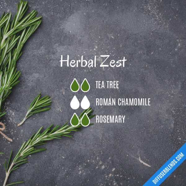 Herbal Zest | DiffuserBlends.com