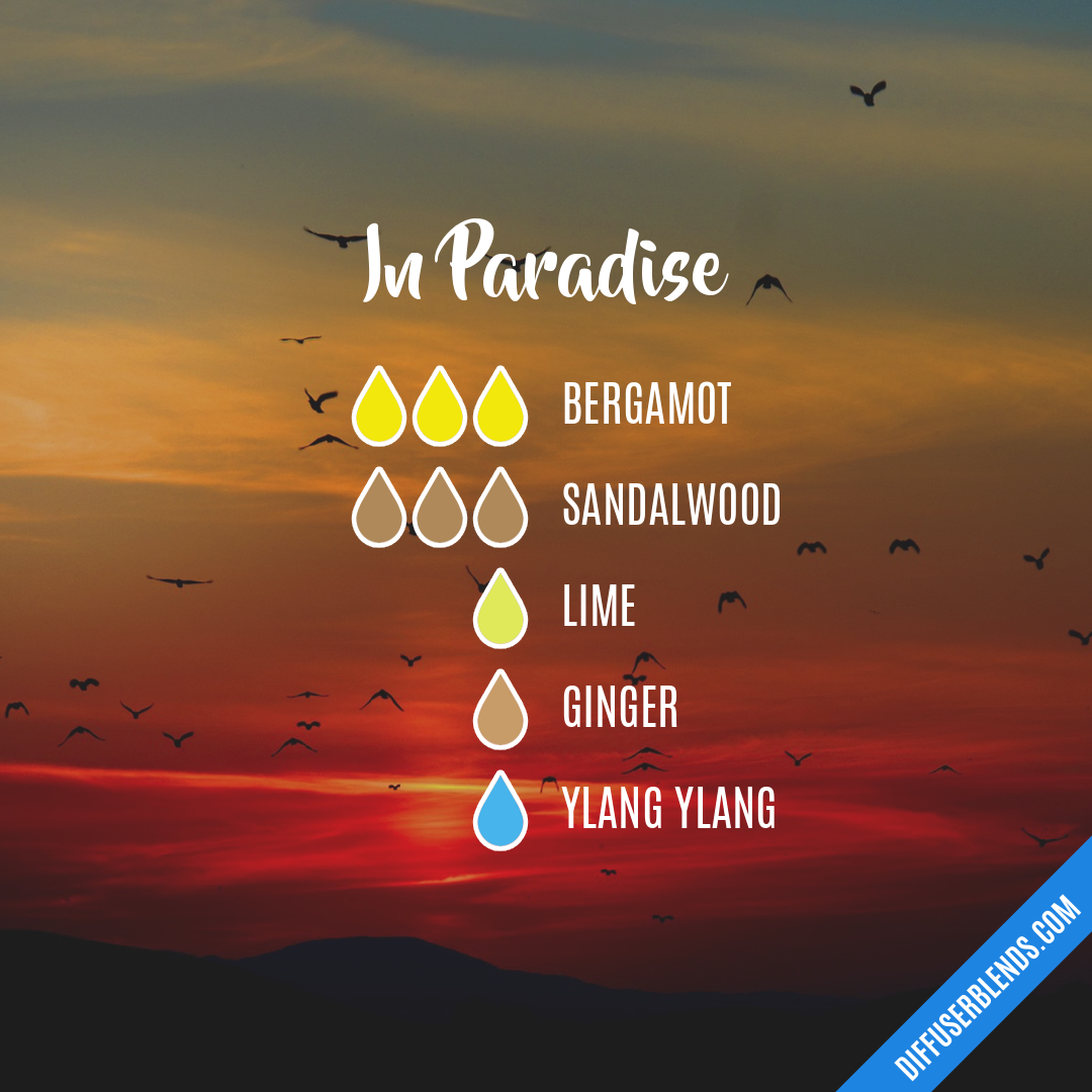 In Paradise | DiffuserBlends.com