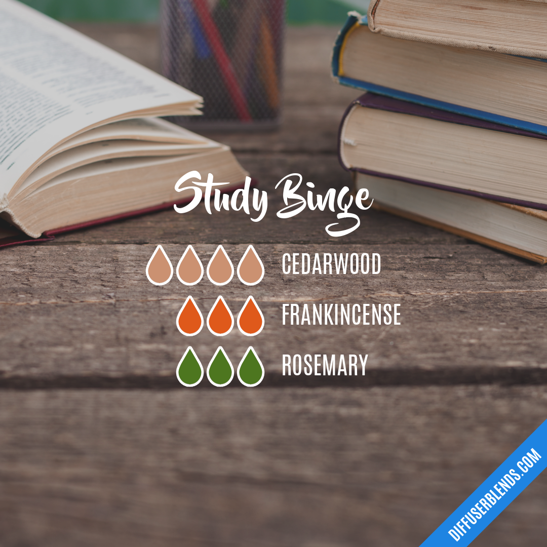 Study Binge | DiffuserBlends.com