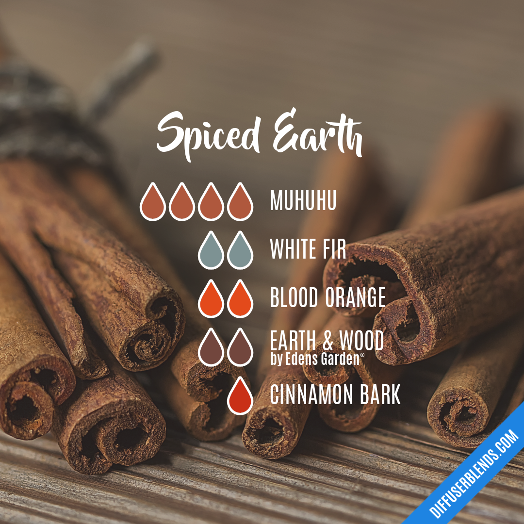 Spiced Earth | DiffuserBlends.com