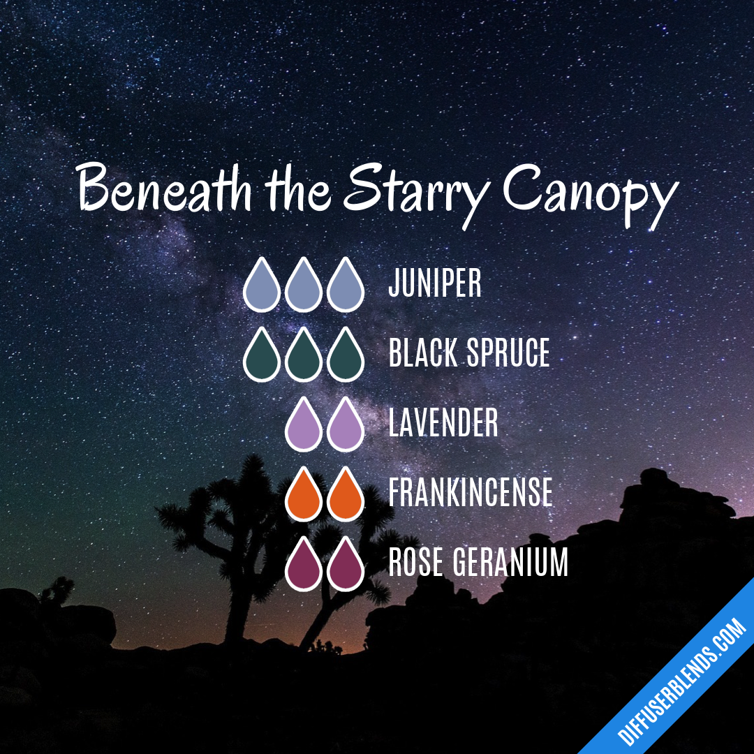 Beneath the Starry Canopy | DiffuserBlends.com