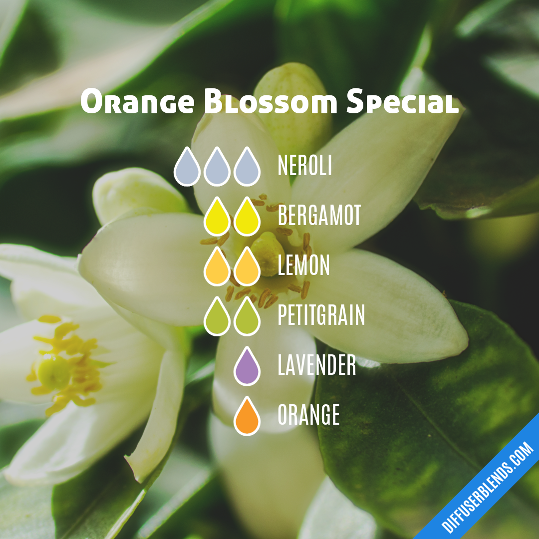 Orange Blossom Special | DiffuserBlends.com