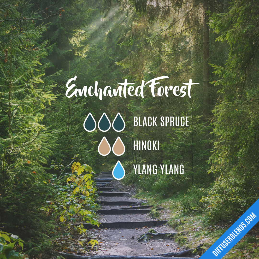 Enchanted Forest | DiffuserBlends.com