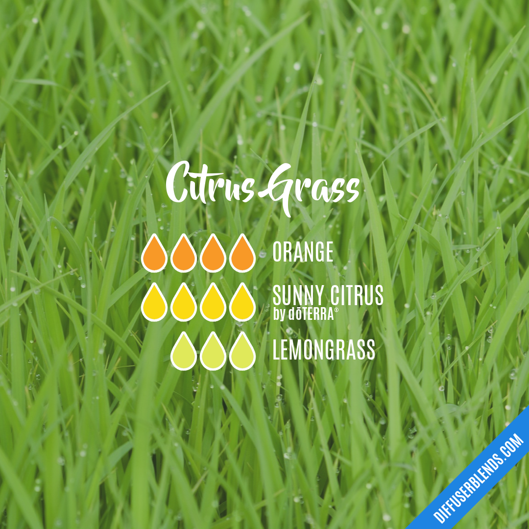 Citrus Grass | DiffuserBlends.com