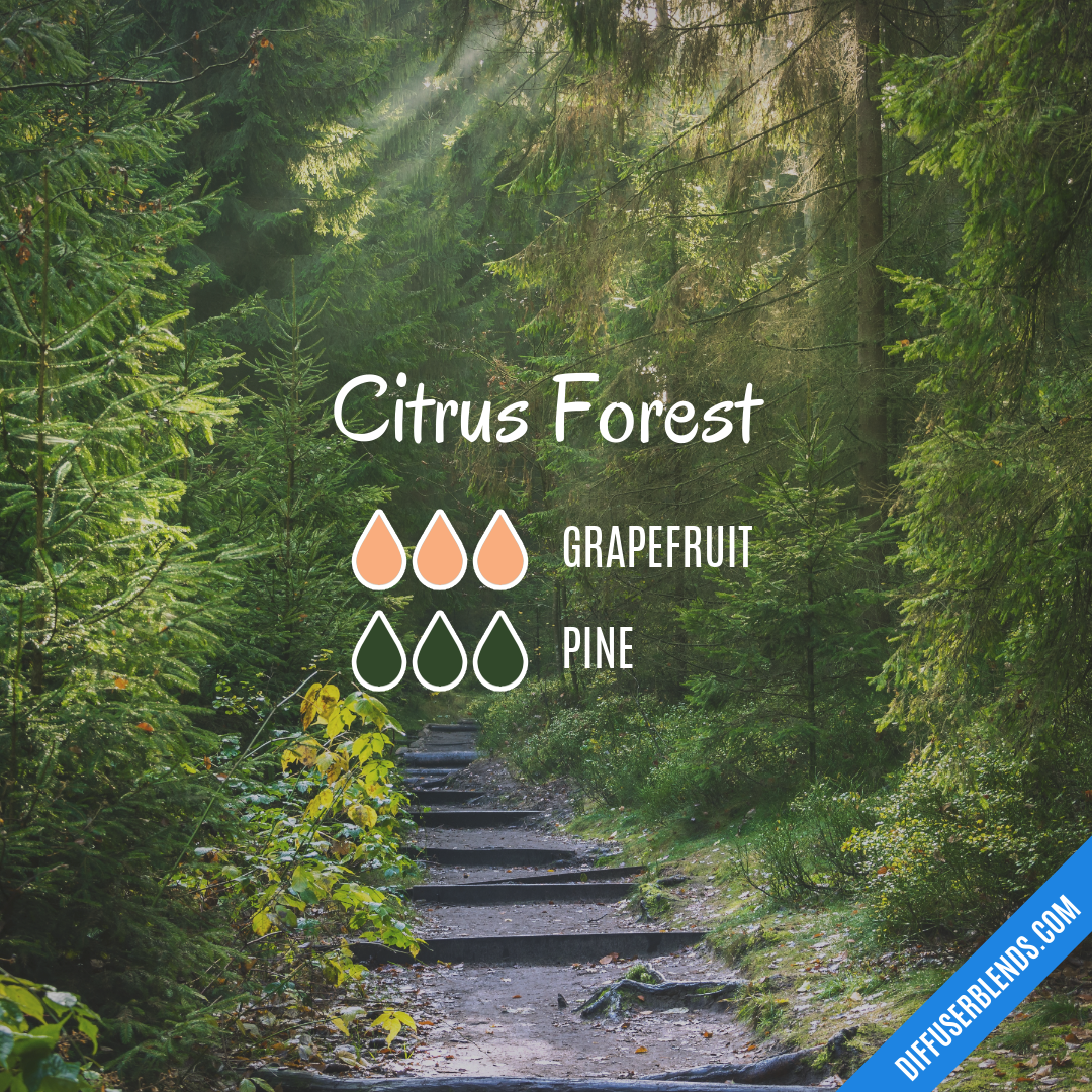 Citrus Forest | DiffuserBlends.com
