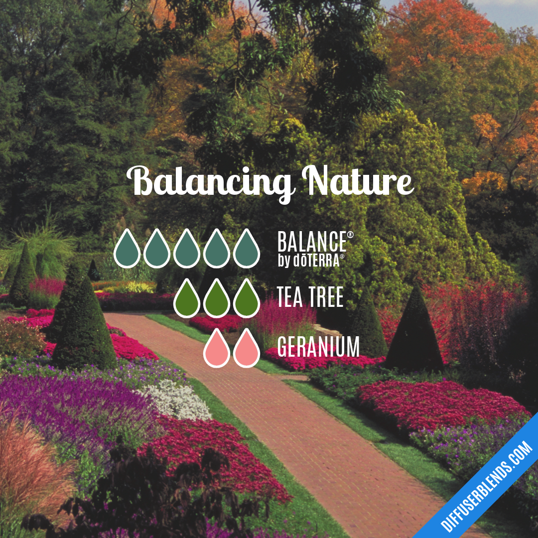 Balancing Nature | DiffuserBlends.com