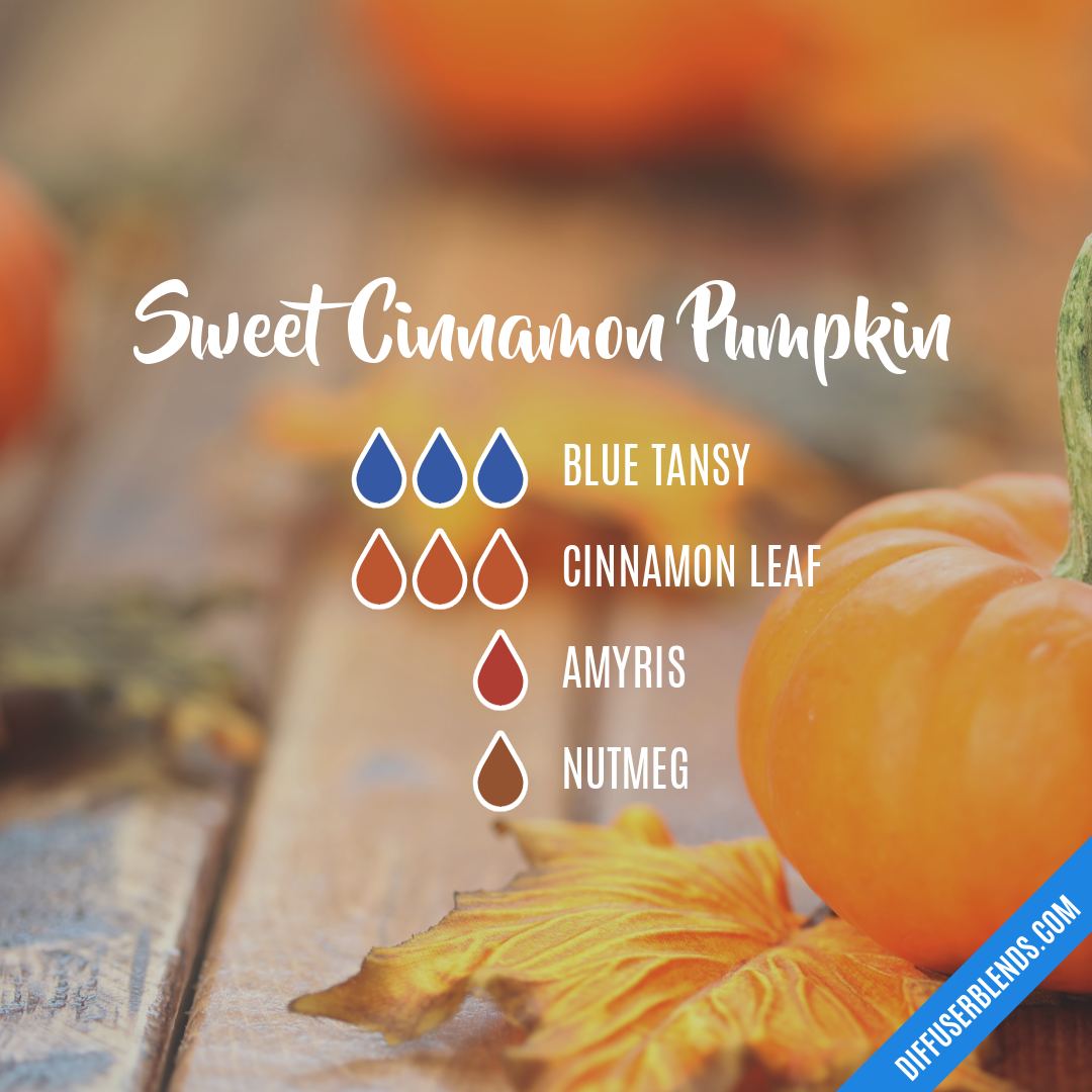 Sweet Cinnamon Pumpkin | DiffuserBlends.com
