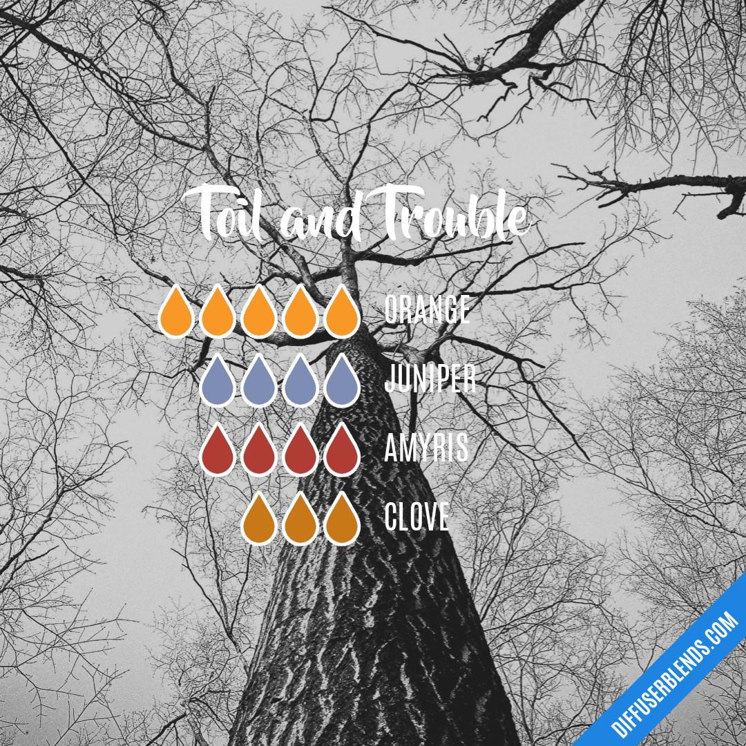 Toil and Trouble | DiffuserBlends.com