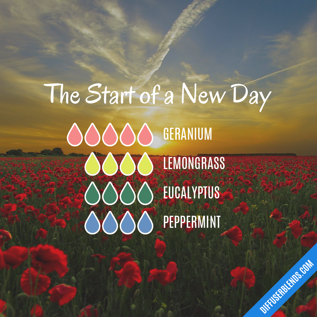 The Start of a New Day | DiffuserBlends.com