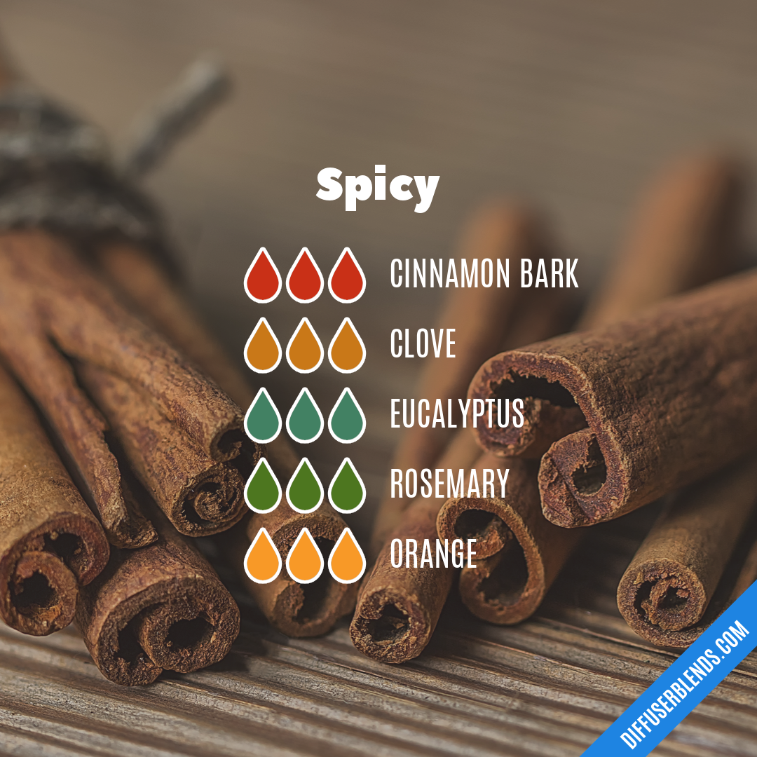 Spicy | DiffuserBlends.com