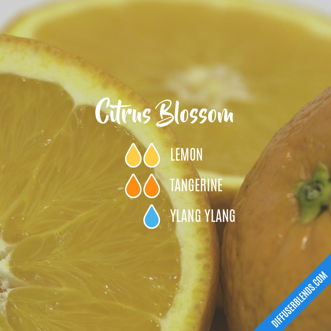 Citrus Blossom | DiffuserBlends.com