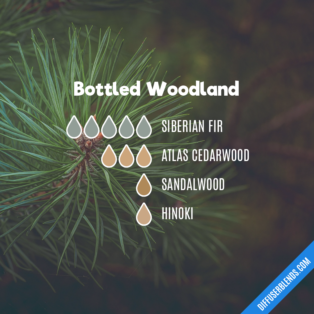 Bottled Woodland | DiffuserBlends.com