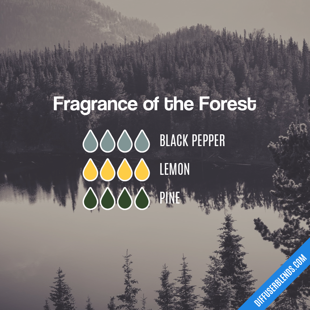 Fragrance of the Forest | DiffuserBlends.com