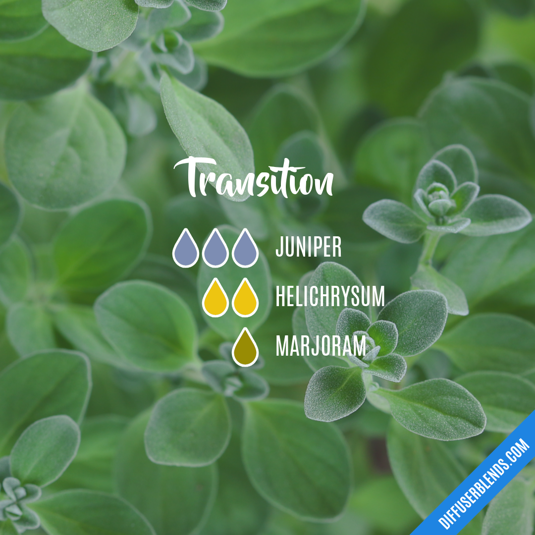 Transition | DiffuserBlends.com