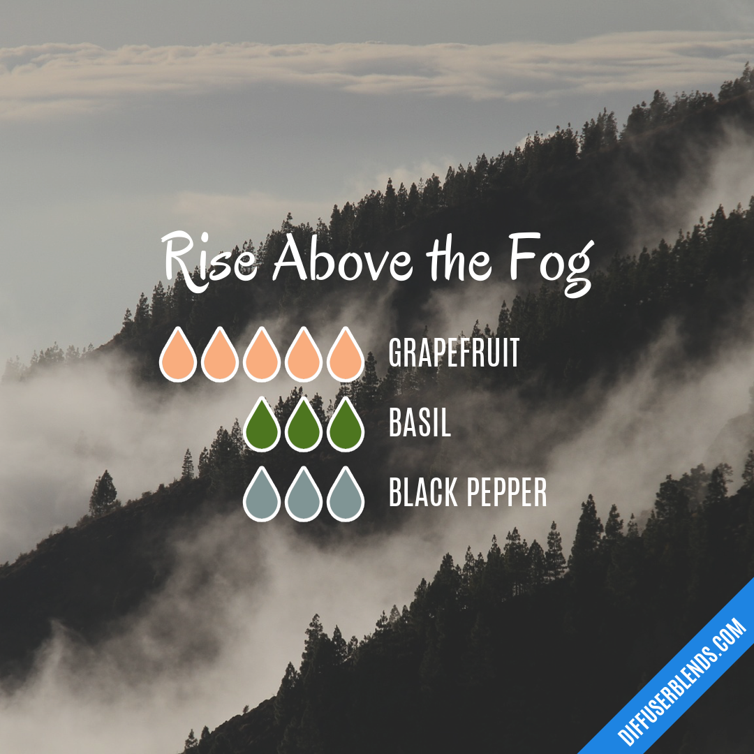 Rise Above the Fog | DiffuserBlends.com