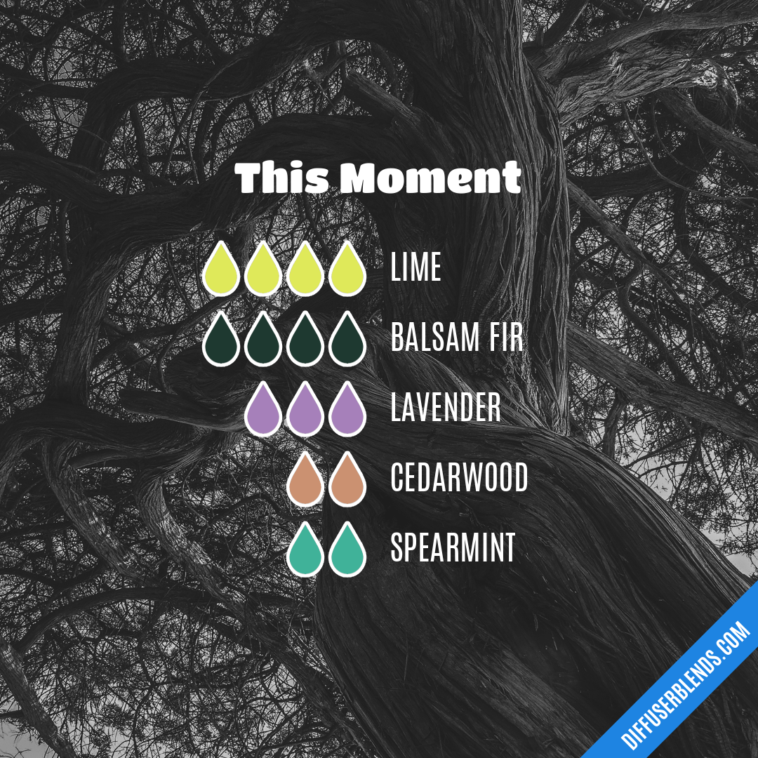 This Moment | DiffuserBlends.com