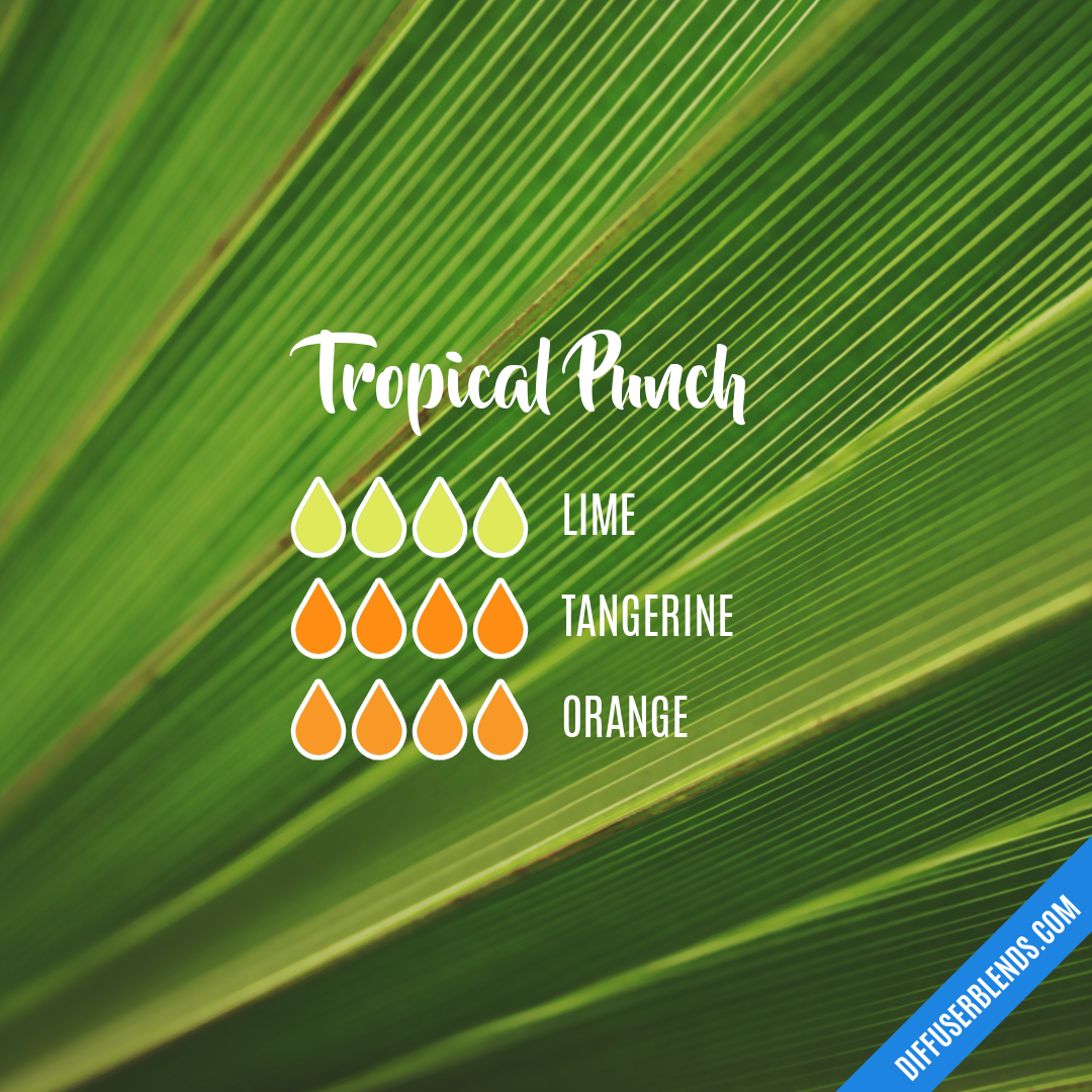 Tropical Punch | DiffuserBlends.com