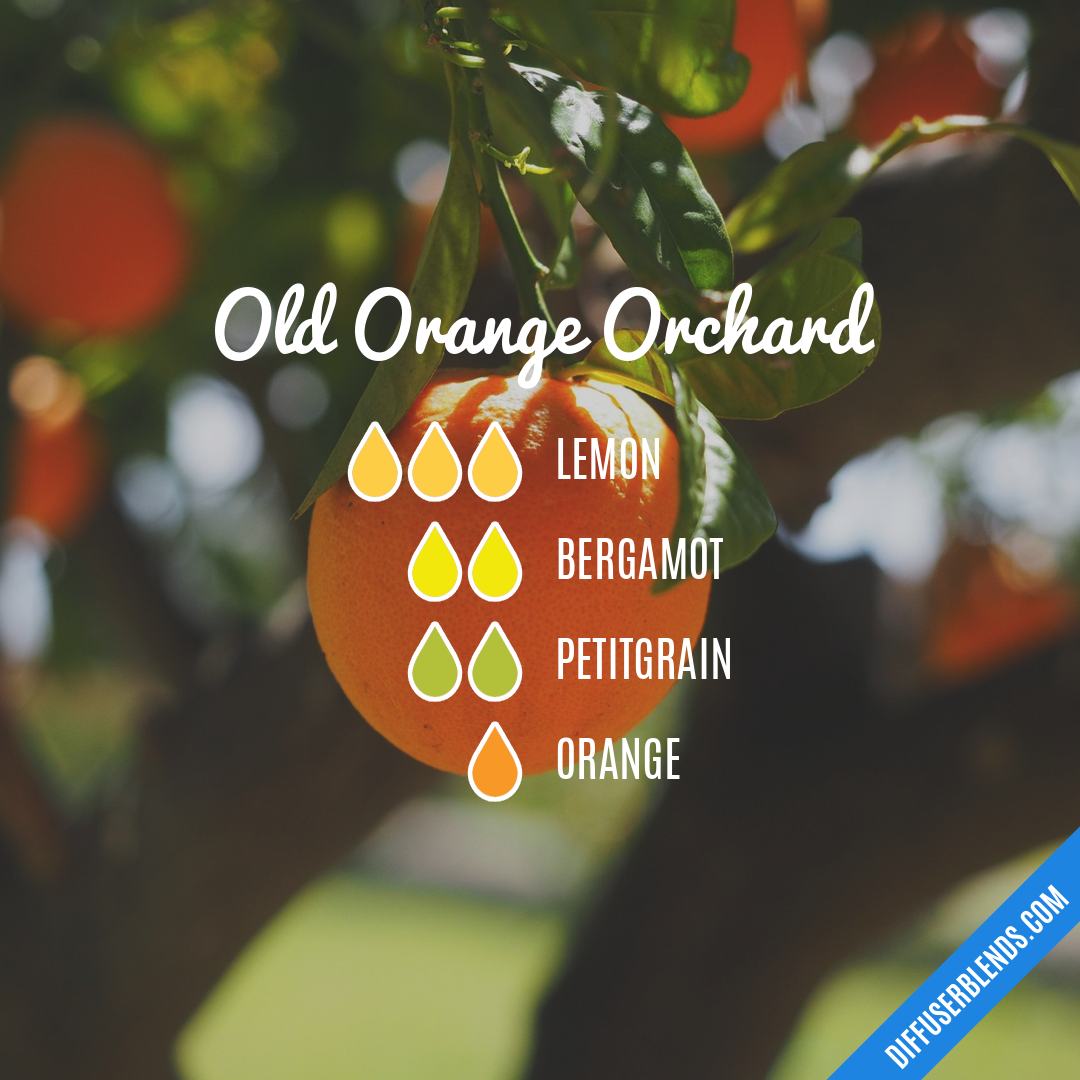Old Orange Orchard | DiffuserBlends.com