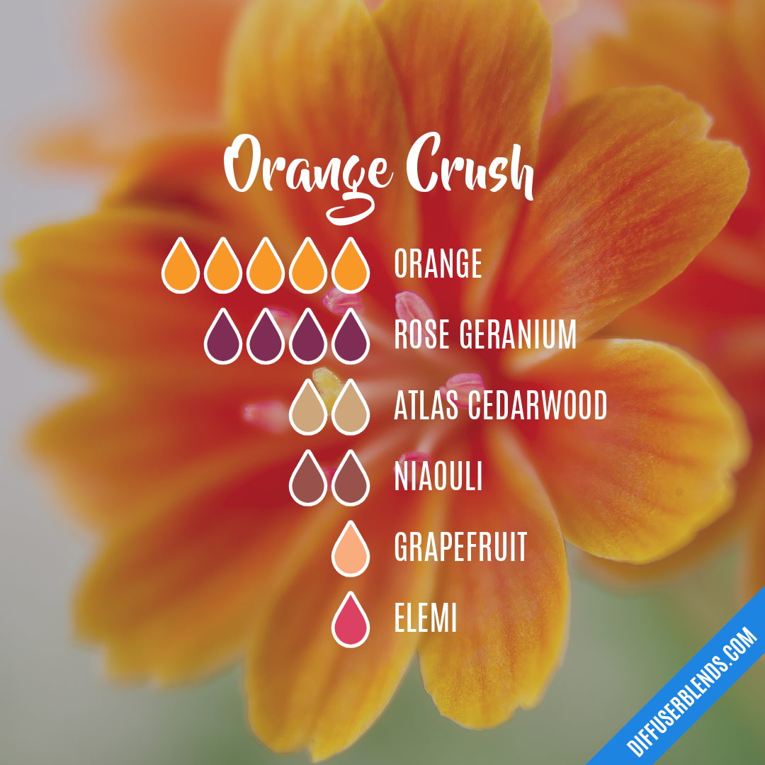 Orange Crush | DiffuserBlends.com