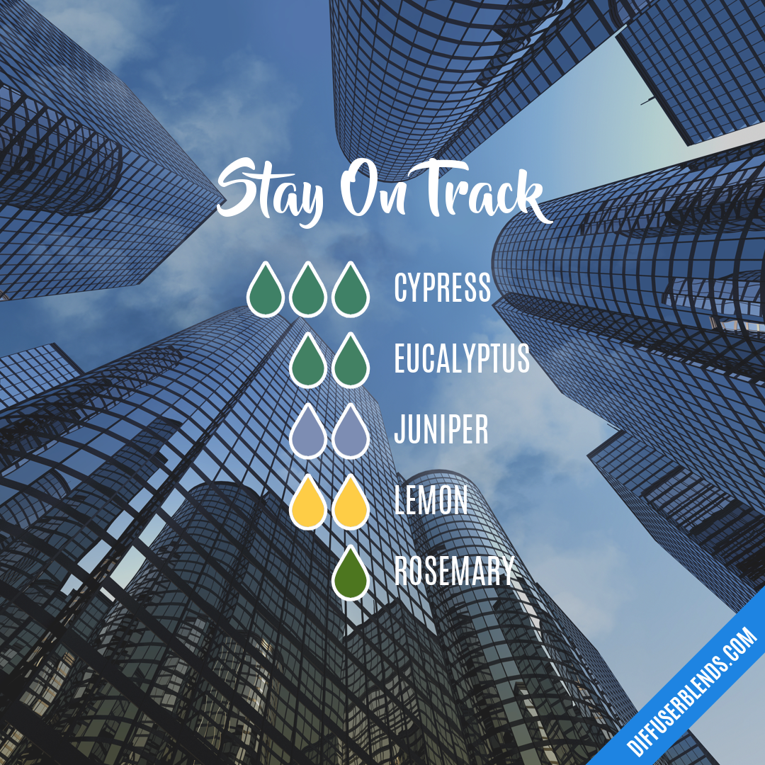 Stay On Track | DiffuserBlends.com