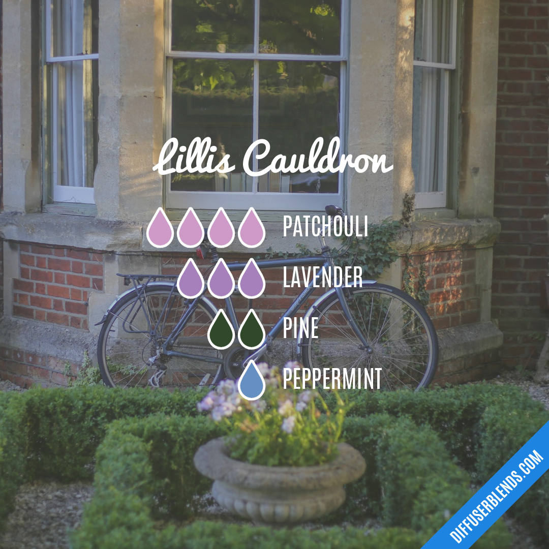 Lillis Cauldron | DiffuserBlends.com