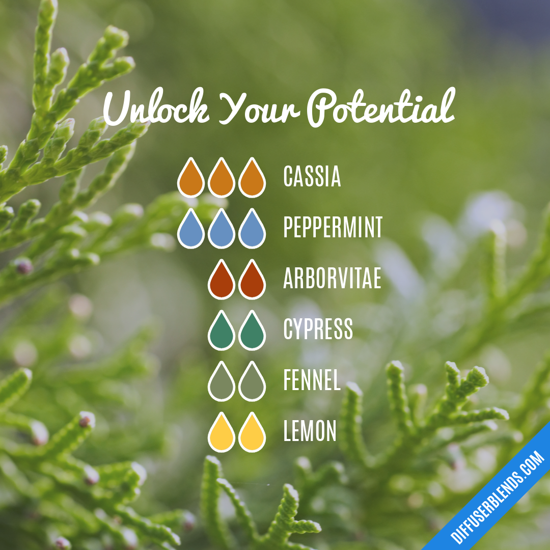 Unlock Your Potential | DiffuserBlends.com