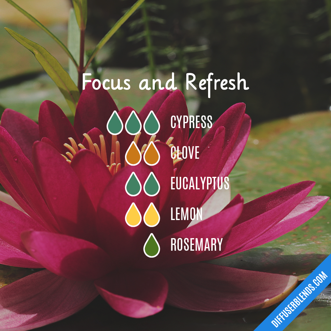 Focus and Refresh | DiffuserBlends.com