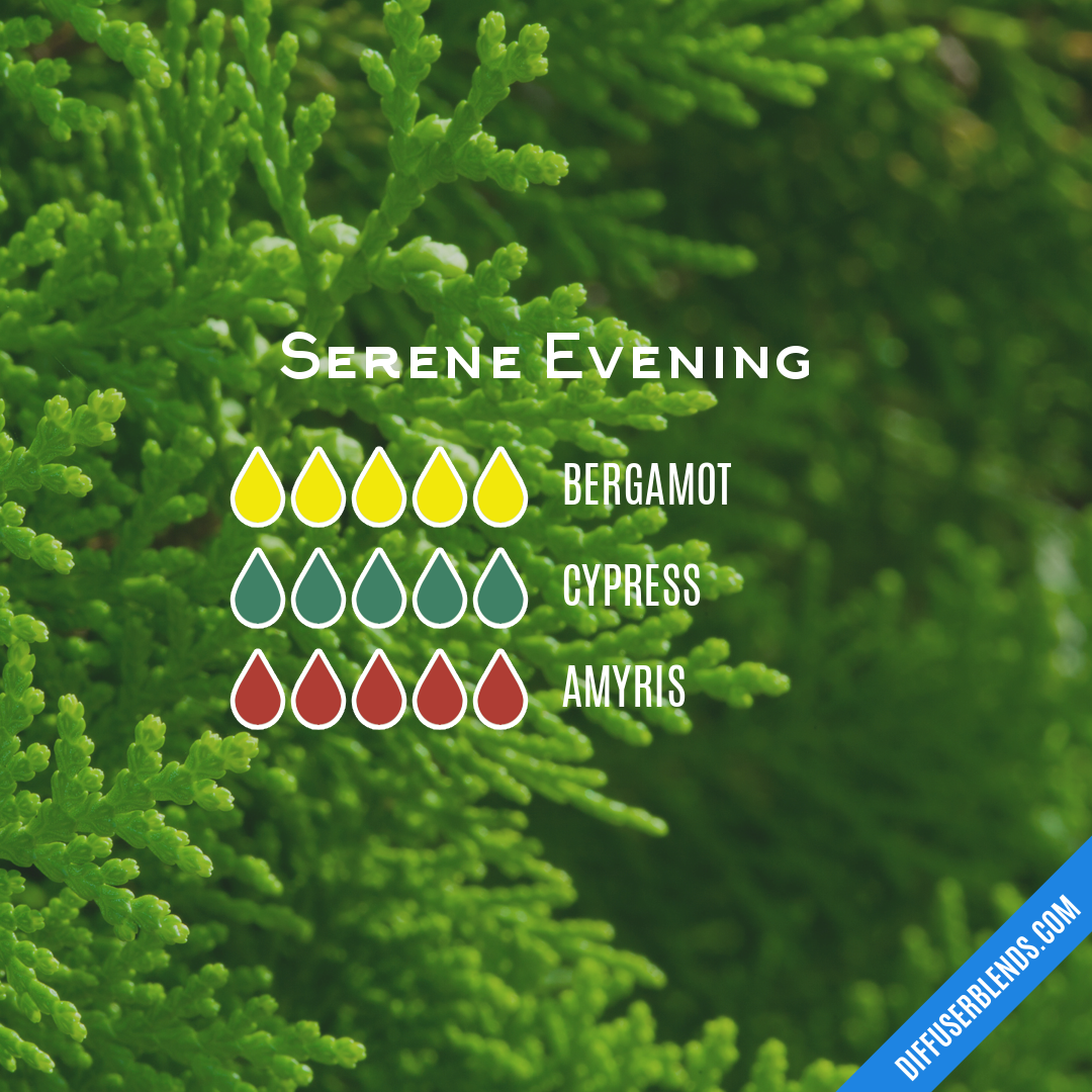 Serene Evening | DiffuserBlends.com