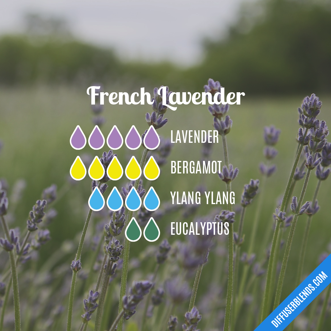 French Lavender | DiffuserBlends.com