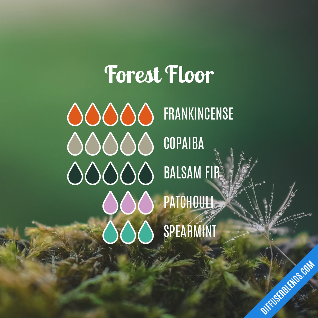 Forest Floor | DiffuserBlends.com
