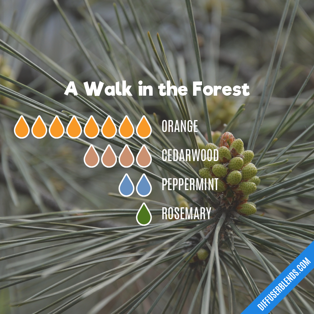A Walk in the Forest | DiffuserBlends.com