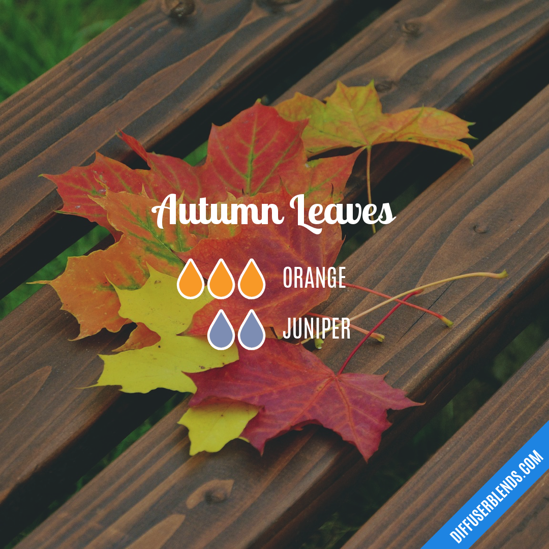Autumn Leaves | DiffuserBlends.com
