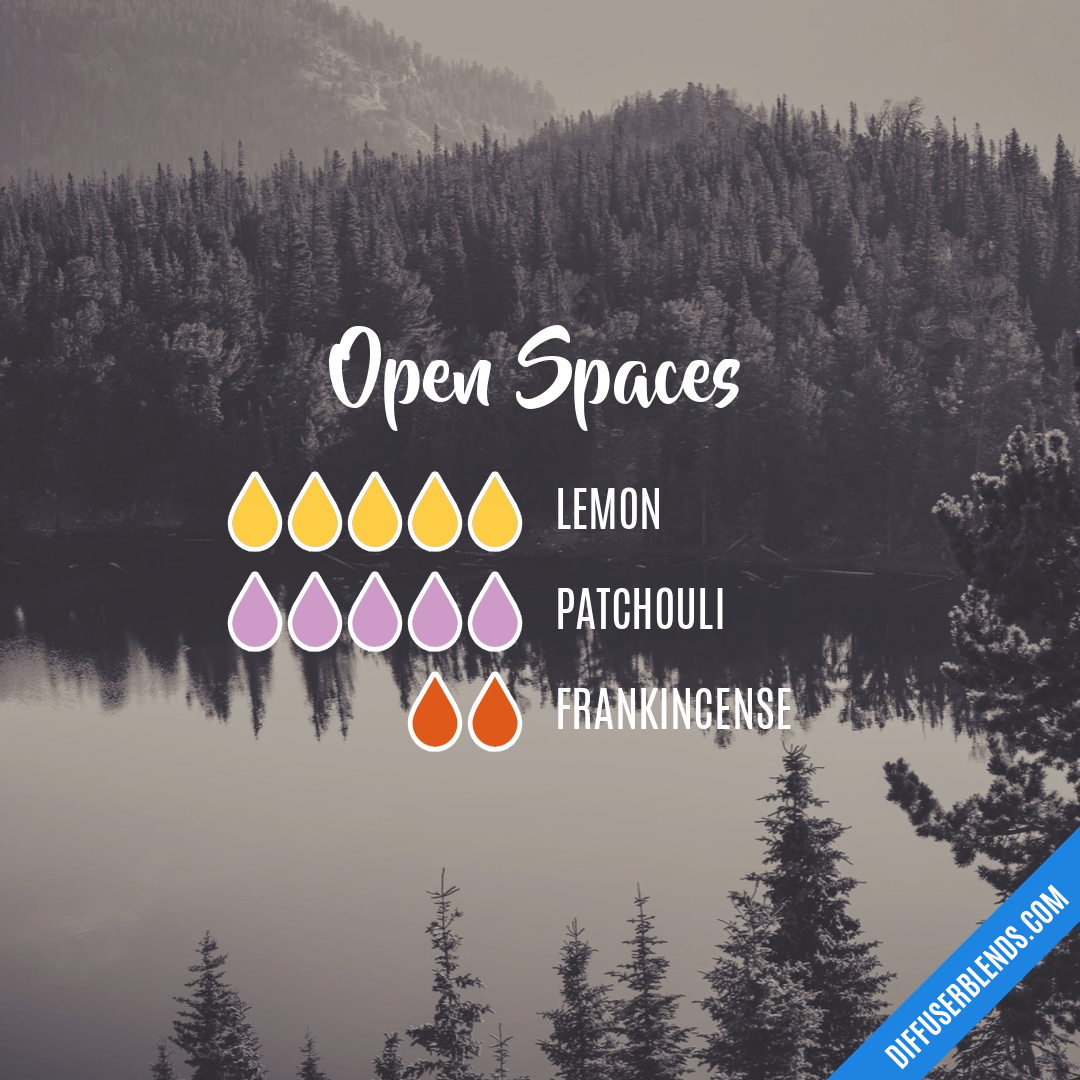 Open Spaces | DiffuserBlends.com