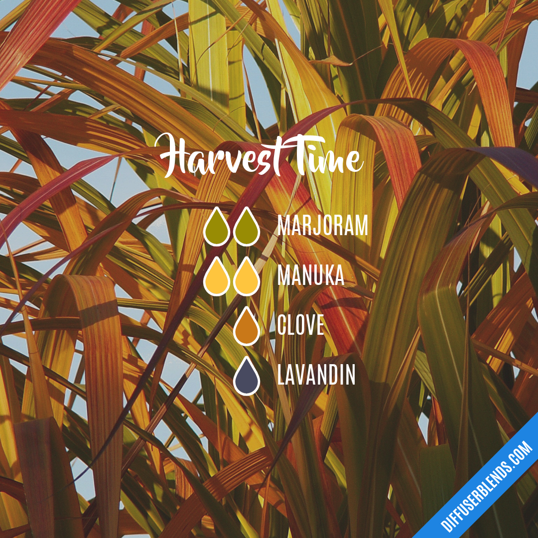 Harvest Time | DiffuserBlends.com