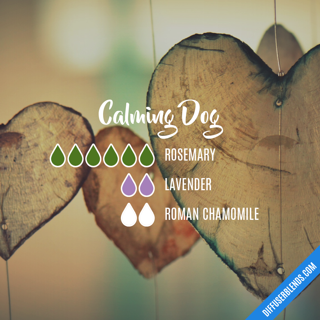 Calming Dog | DiffuserBlends.com