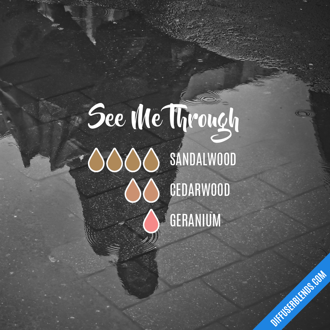 See Me Through | DiffuserBlends.com