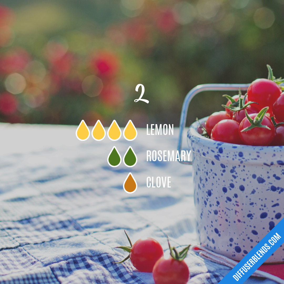 2 | DiffuserBlends.com