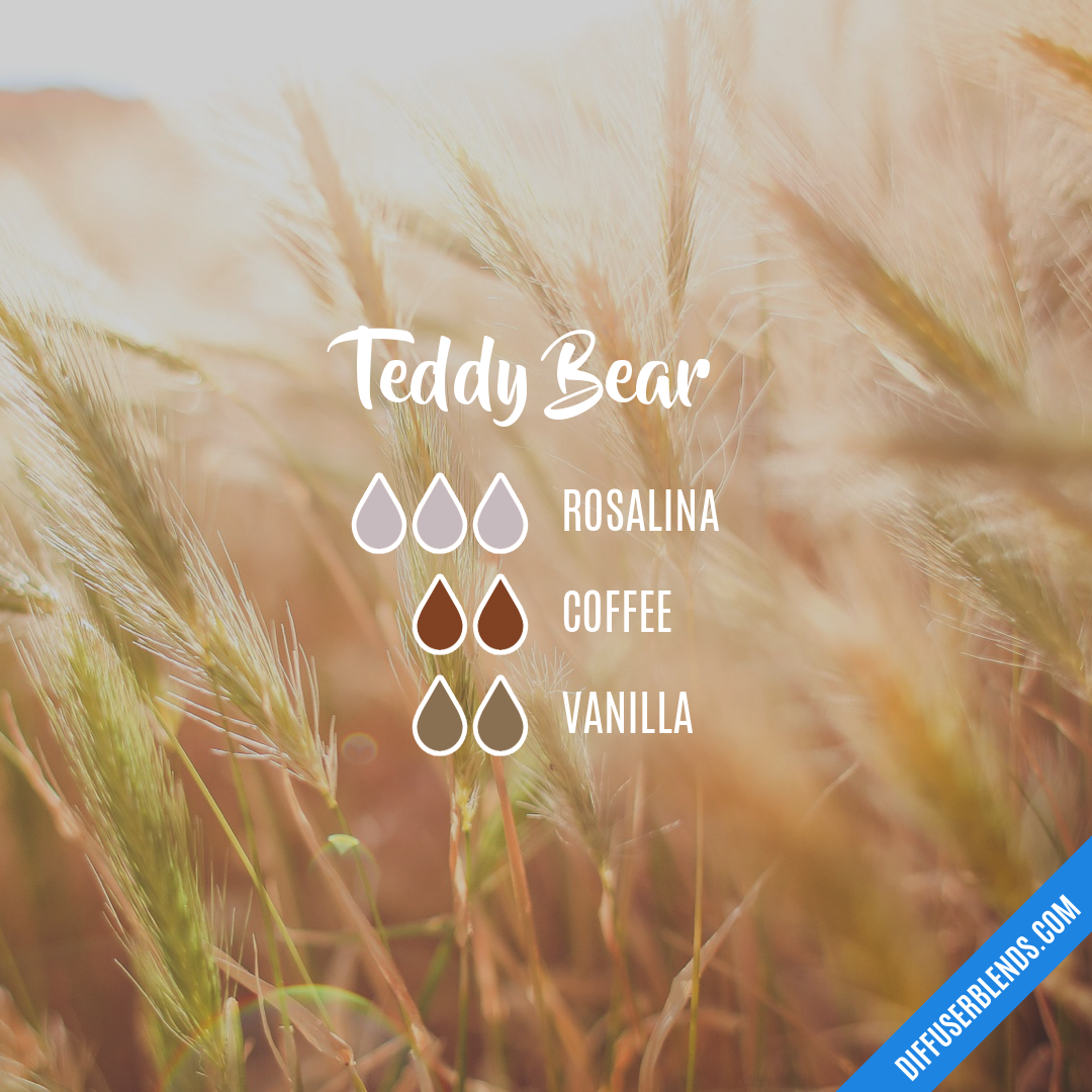 Teddy Bear | DiffuserBlends.com