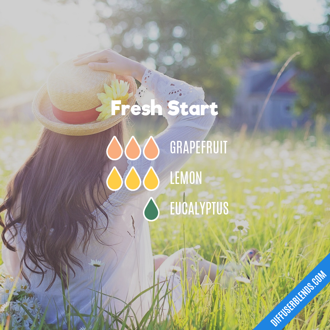 Fresh Start | DiffuserBlends.com