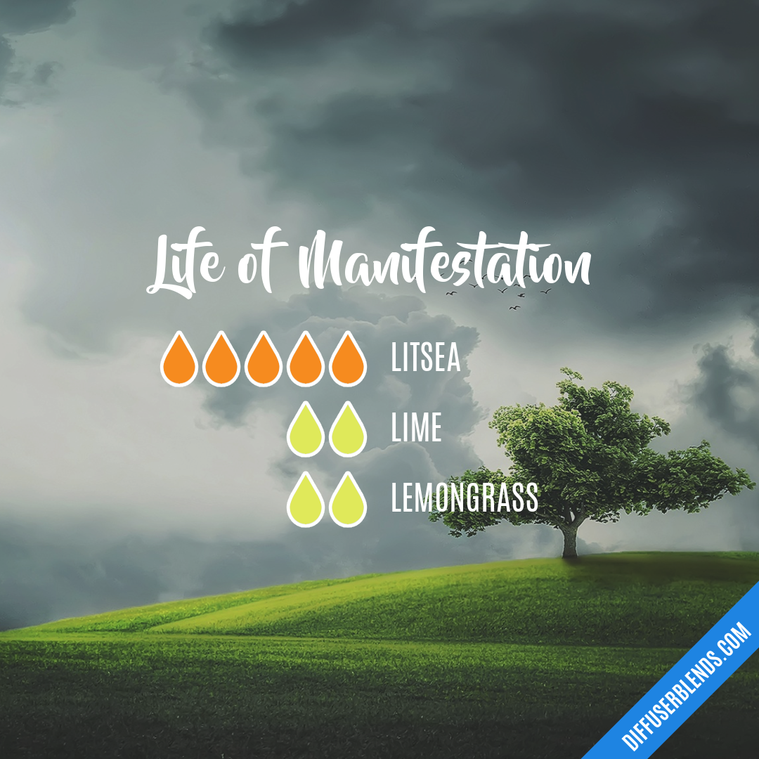 Life of Manifestation | DiffuserBlends.com