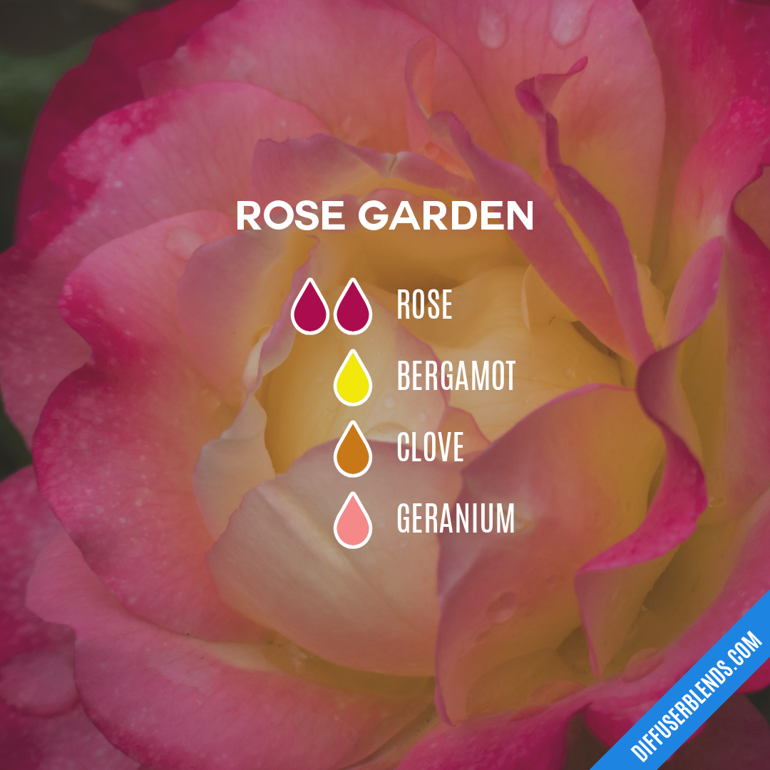 Rose Garden | DiffuserBlends.com
