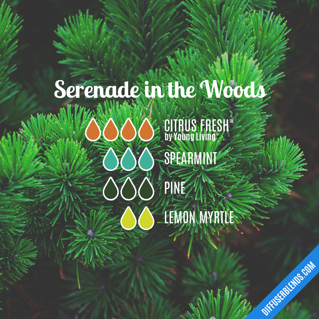 Serenade in the Woods | DiffuserBlends.com