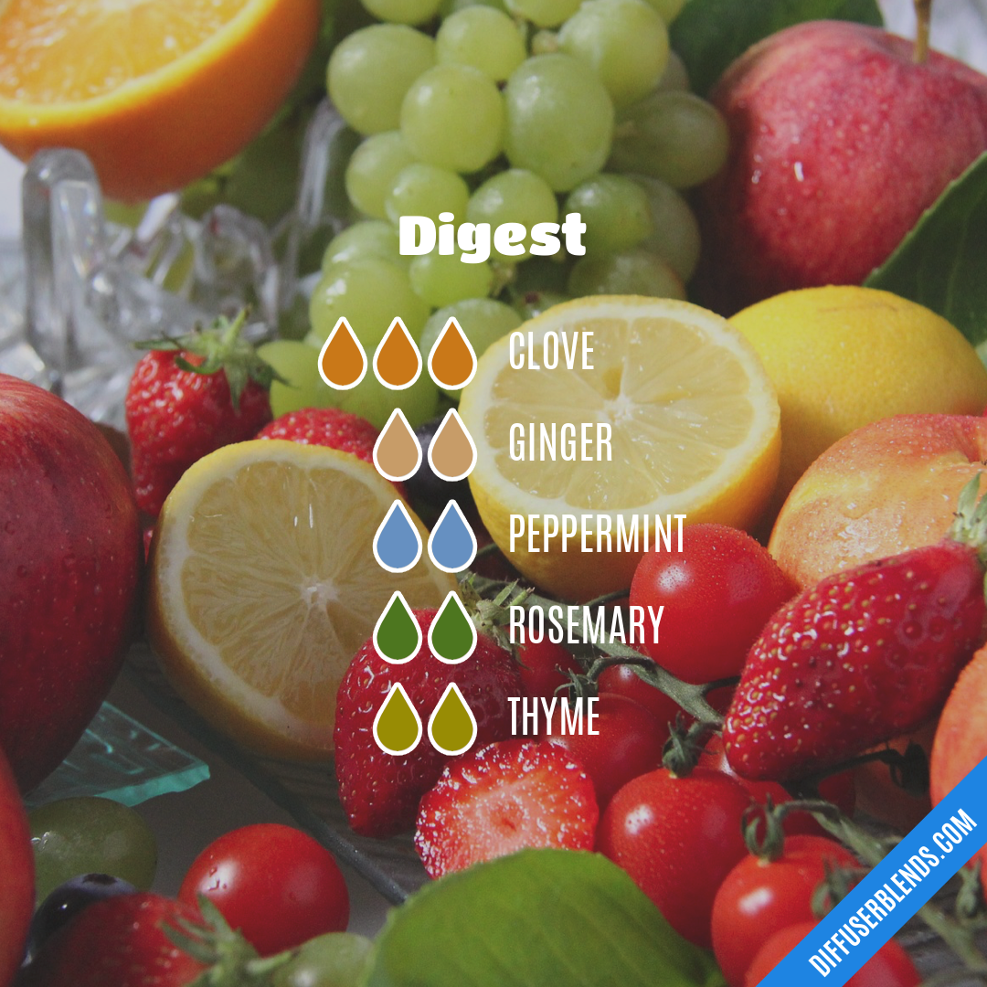 Digest | DiffuserBlends.com