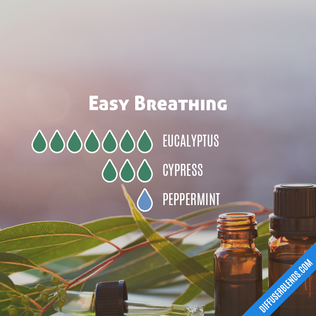 Easy Breathing | DiffuserBlends.com