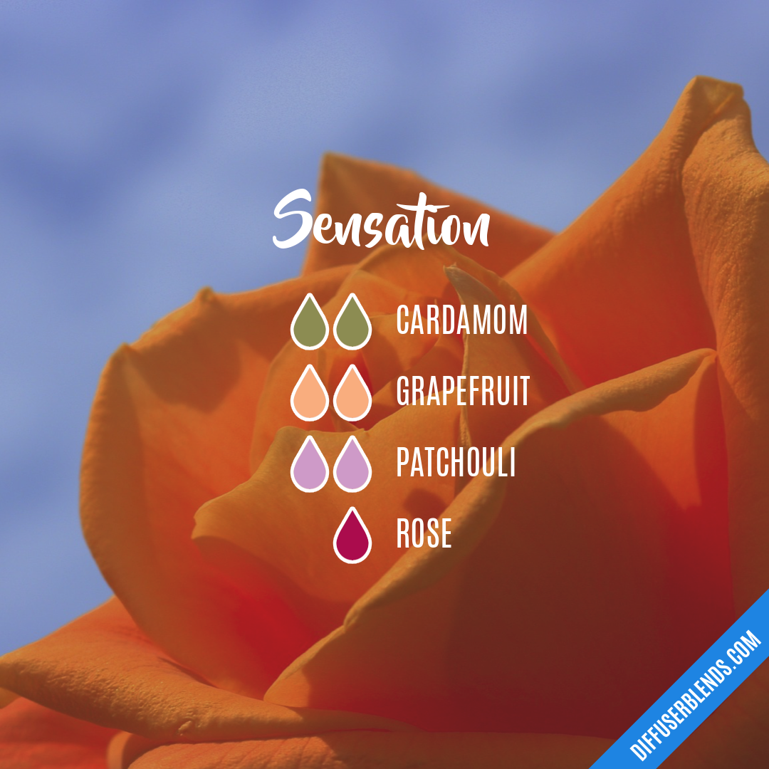 Sensation | DiffuserBlends.com