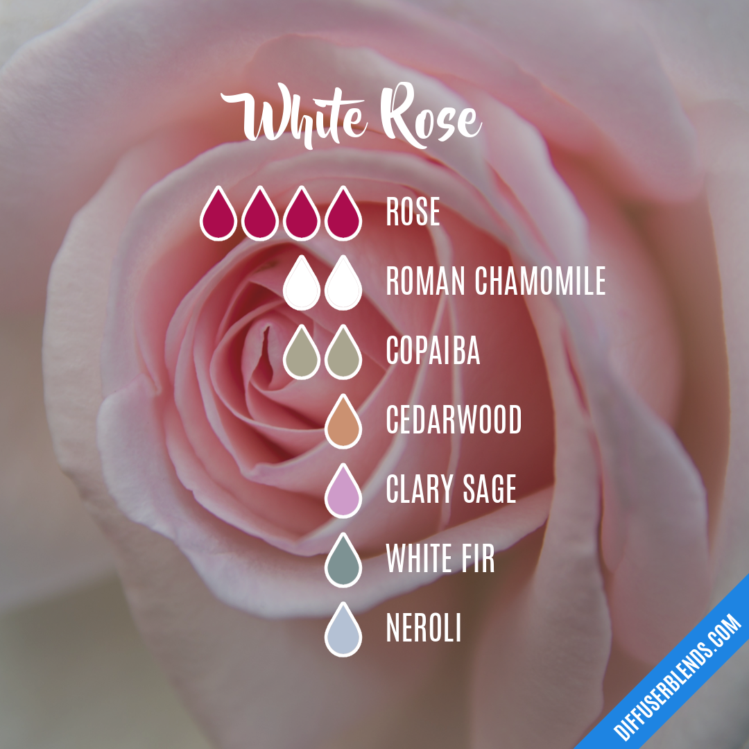 White Rose | DiffuserBlends.com