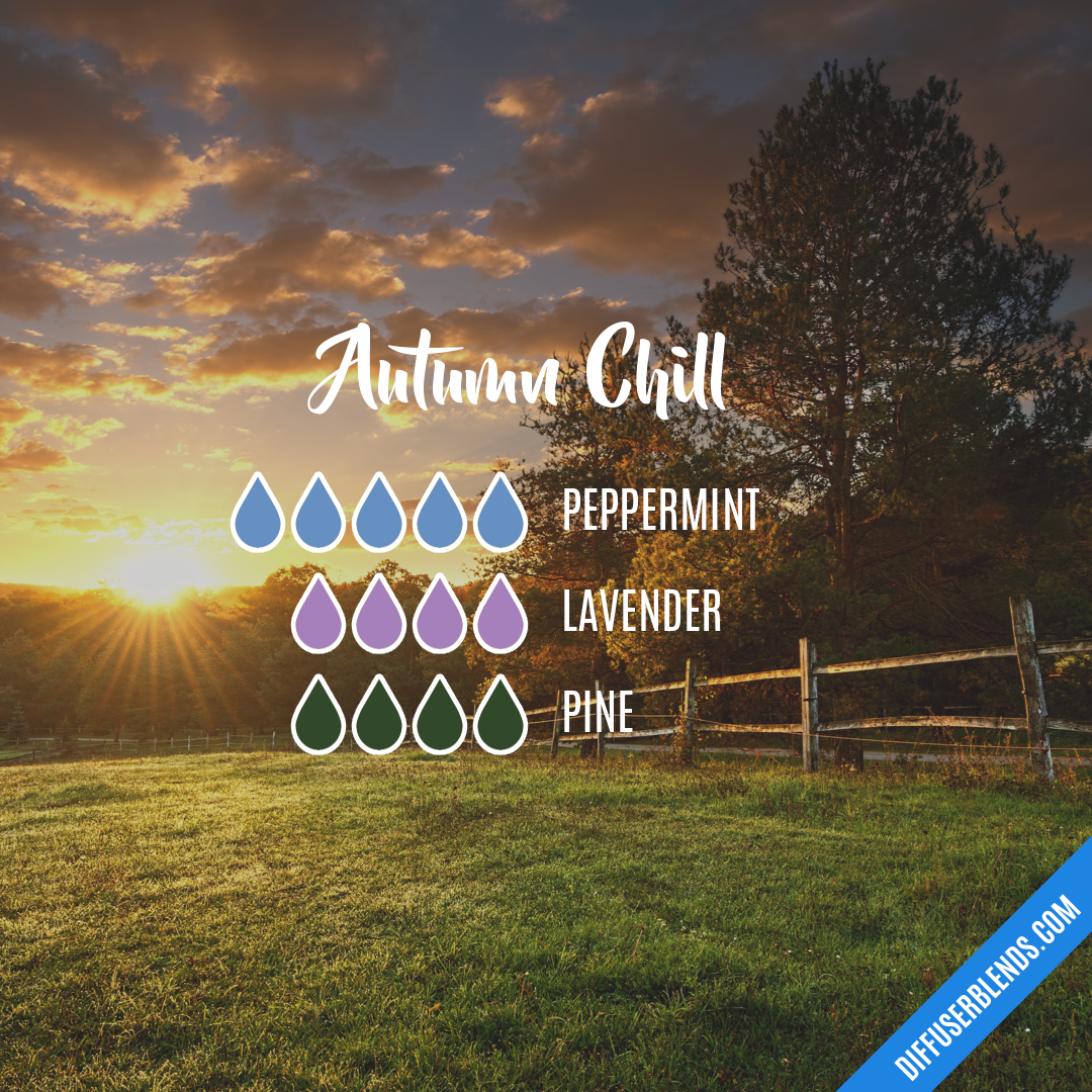 Autumn Chill | DiffuserBlends.com